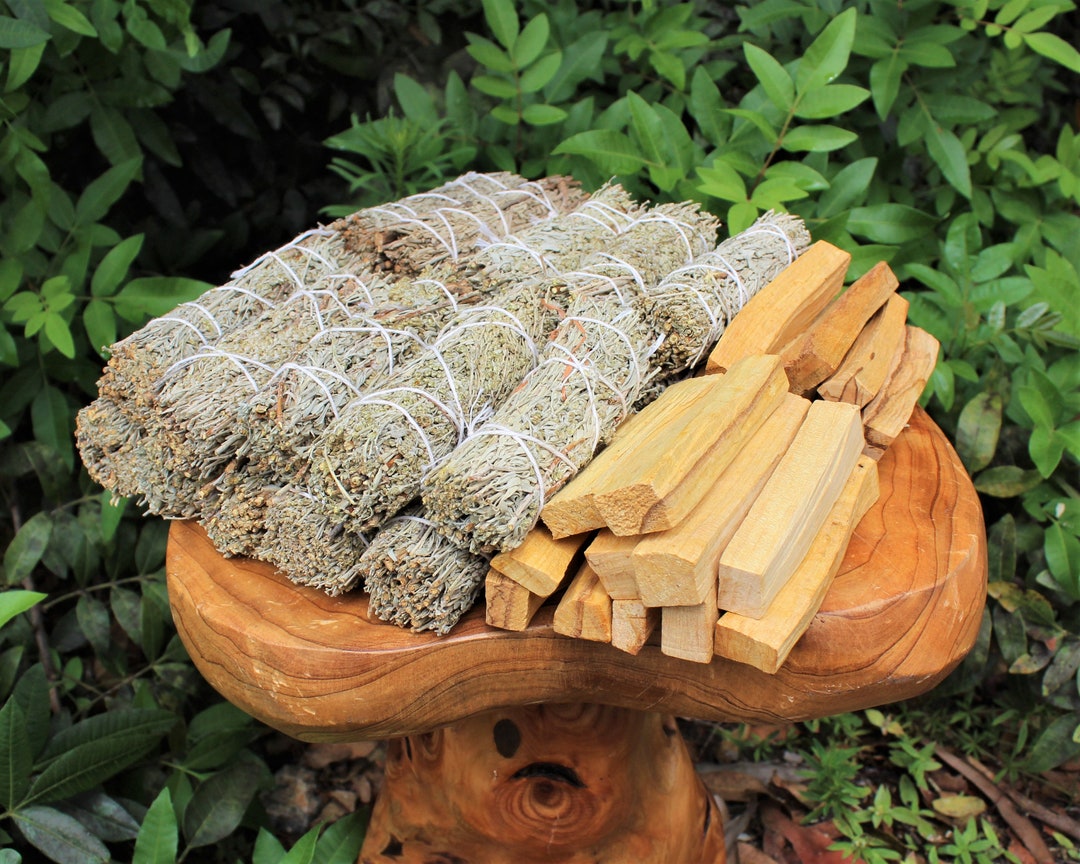 20 Palo Santo Wood & 20 Blue Sage Smudge Sticks Wholesale Bundle - Etsy