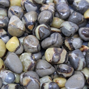 Septarian Tumbled Stones: Choose How Many Pieces 'A' | Etsy