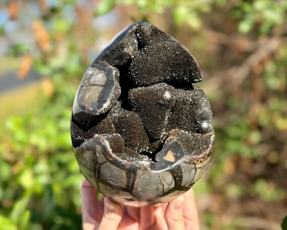 Specimens - World Incense Store