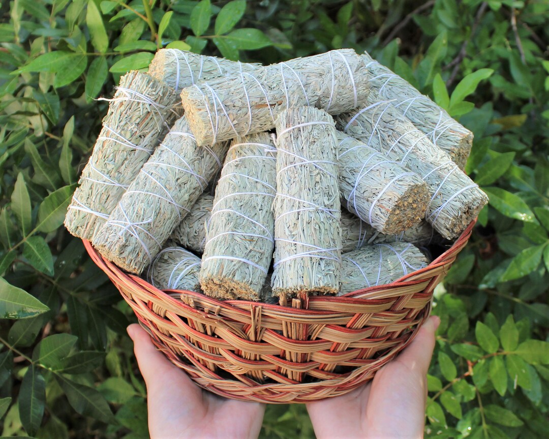 Copal Resin & Dried Mountain Sage Smudge 4" - Herb Bundles for ...