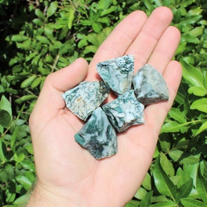 Tree Agate Rough Natural Stones: Choose Ounces or Lb Bulk Wholesale ...