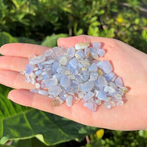 Blue Lace Agate Semi Tumbled Mini Crystal Chips 5-12 Mm: Loose ...