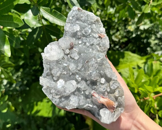 Specimens - World Incense Store