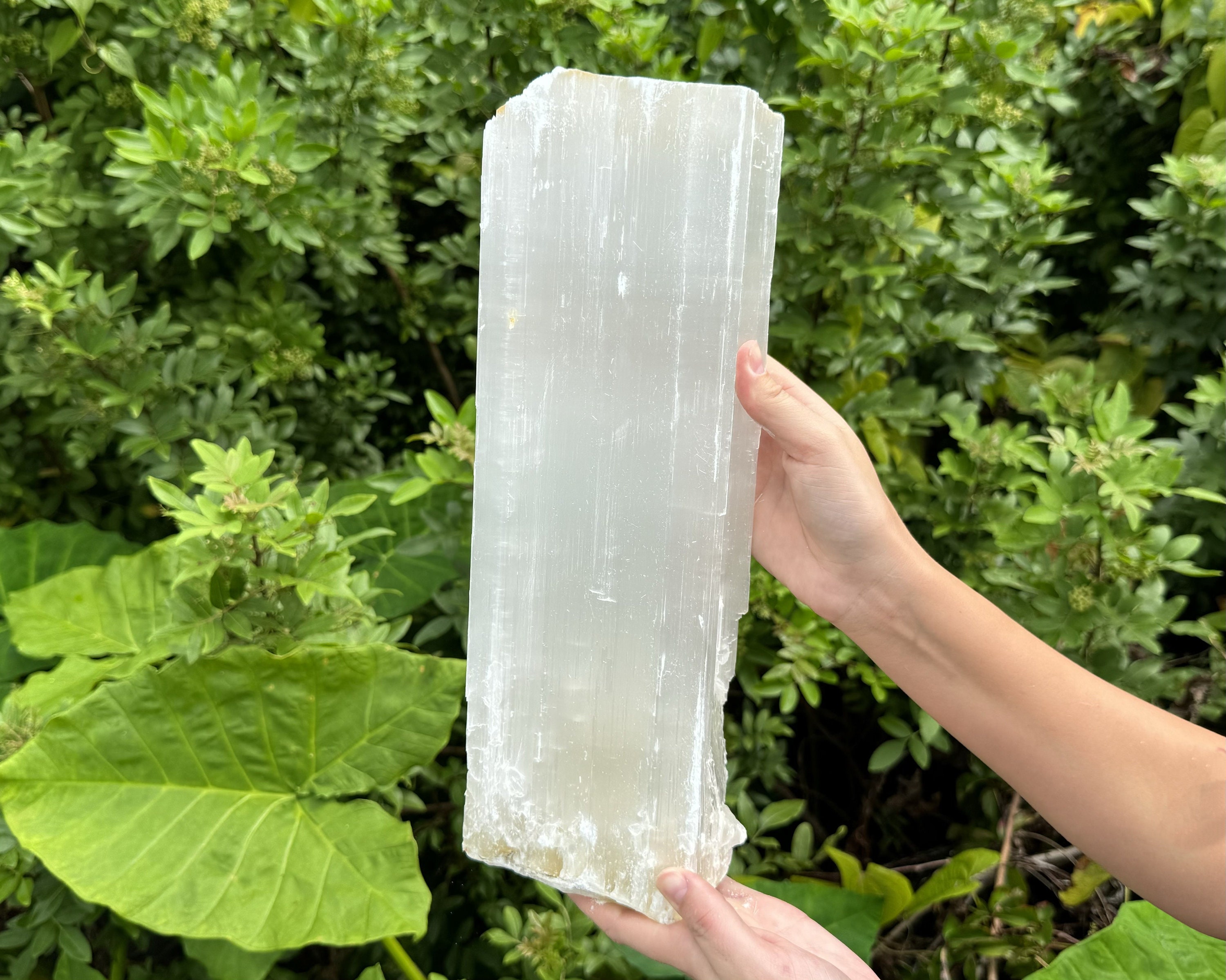 MASSIVE Selenite Logs, Natural White Selenite Crystals - Choose Size ...