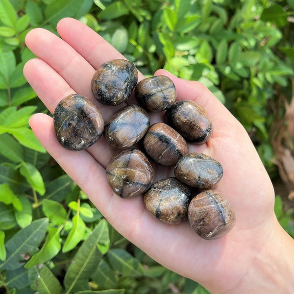Chiastolite - Etsy