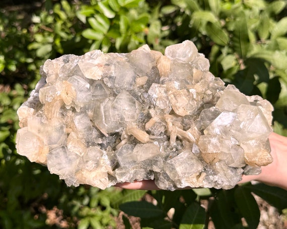 Specimens - World Incense Store