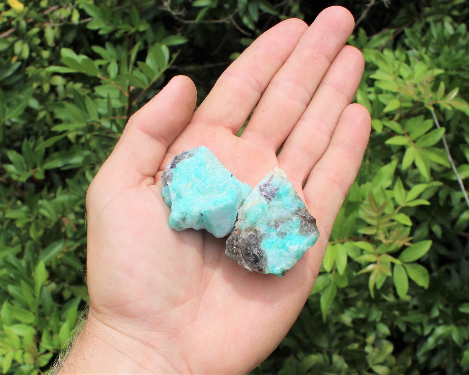 Raw Natural Amazonite Crystals: Choose How Many Pieces - Etsy
