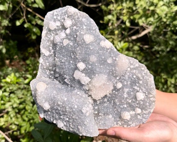 Specimens - World Incense Store