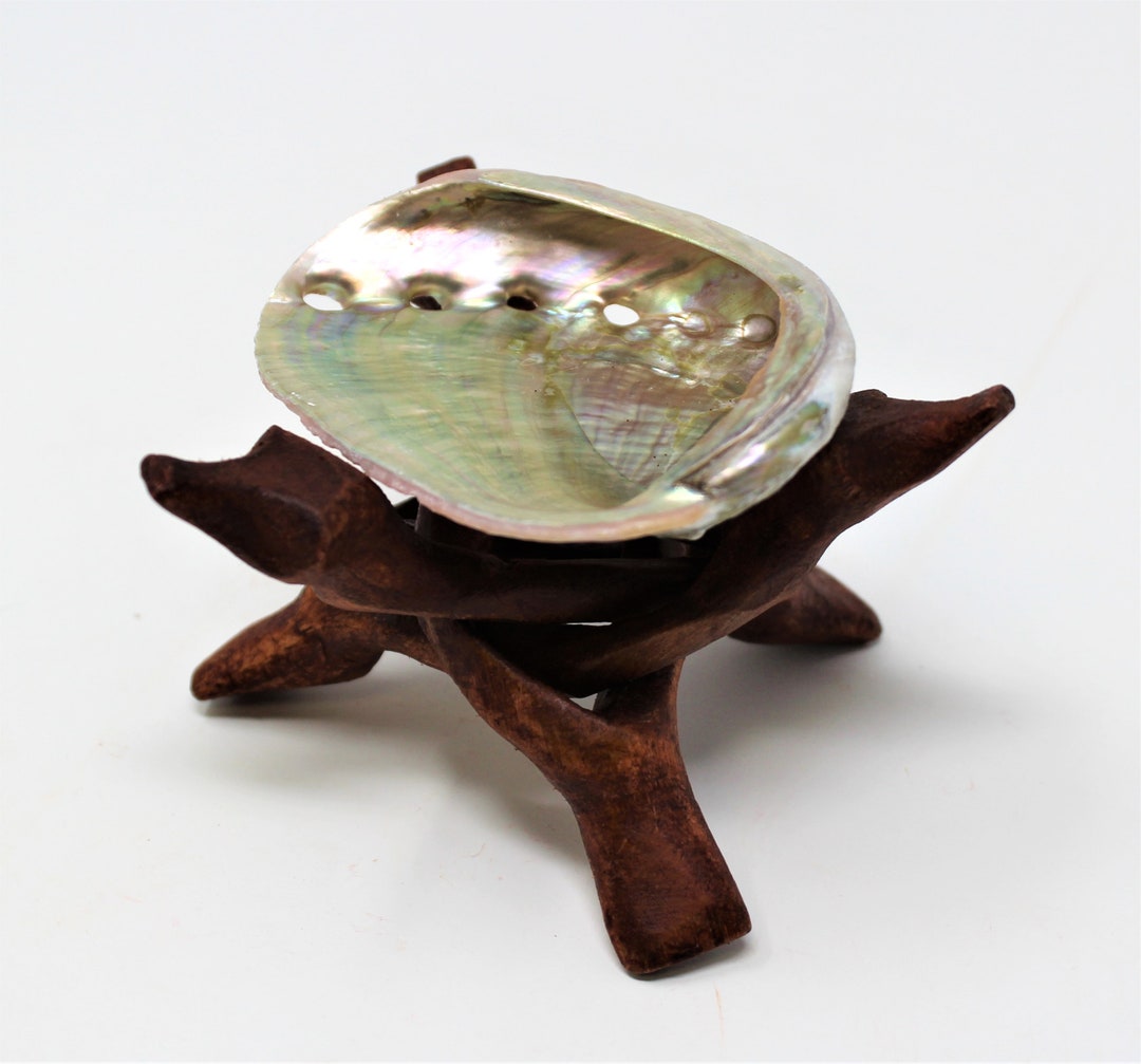 Mini Abalone Kit, 3" Abalone Shell & 4" Tripod Stand - Bulk WHOLESALE ...
