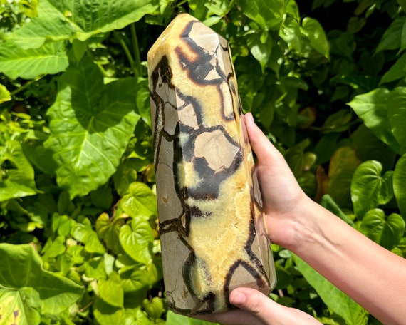 Specimens - World Incense Store