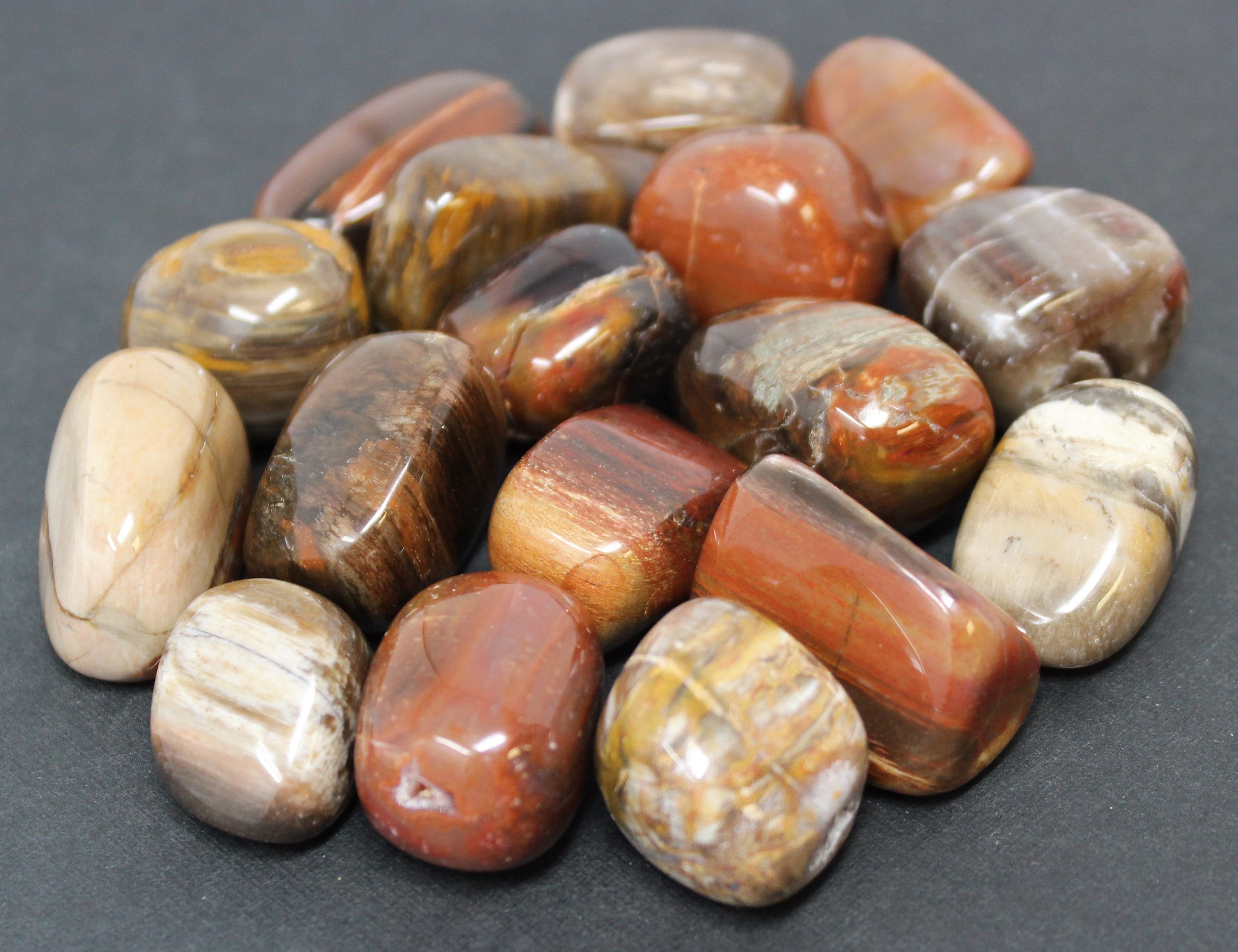 Petrified Wood Tumbled Stones: Choose How Many Pieces ('A' Grade ...