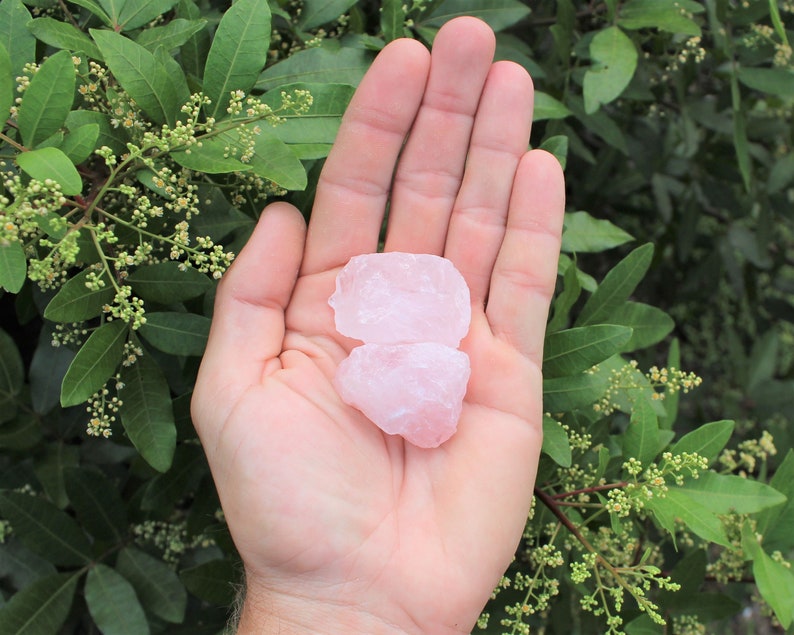 Madagascar Rose Quartz Rough Natural Stones: Choose How Many - Etsy