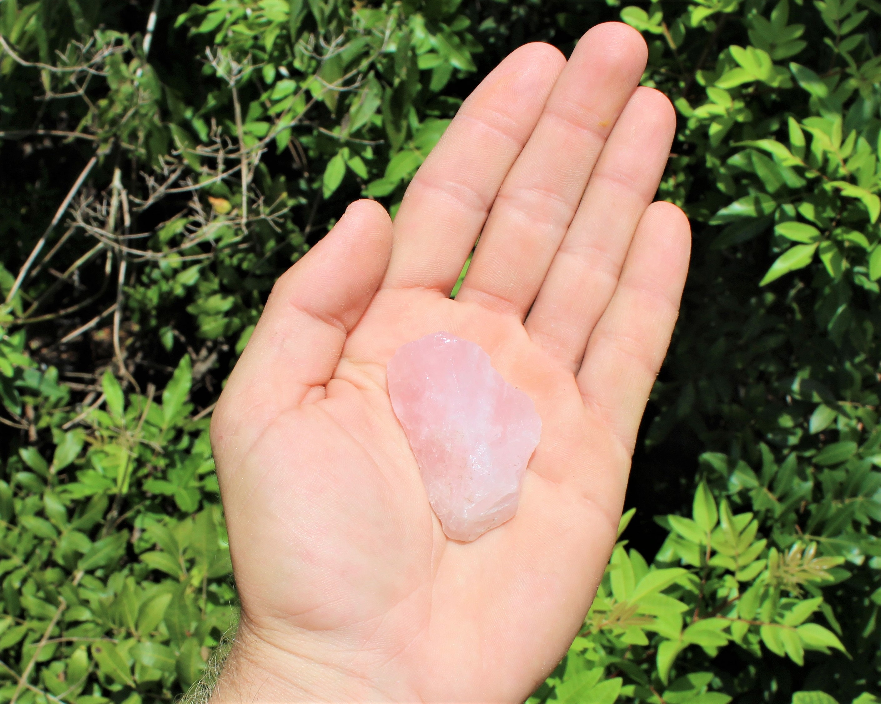 Rose Quartz Rough Natural Stones: Choose How Many Pieces (Premium ...