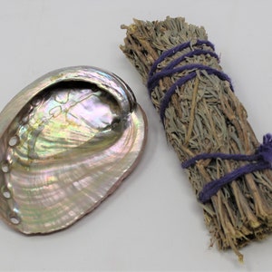 Smudge Kit: Small Abalone Shell, Desert Sage Smudge Stick PLUS Smudging ...