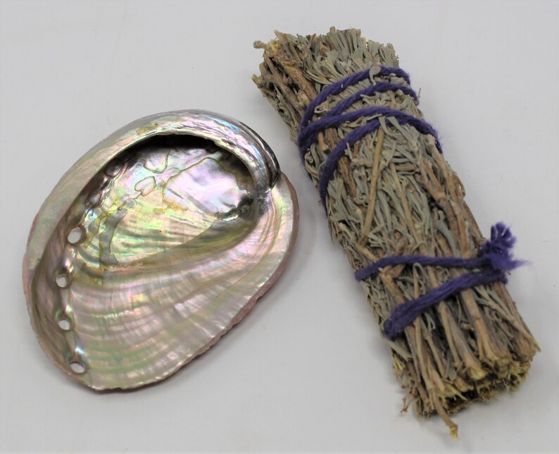 Smudge Kit: Small Abalone Shell Desert Sage Smudge Stick PLUS - Etsy