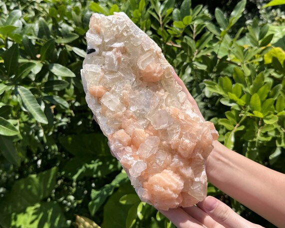 Specimens - World Incense Store