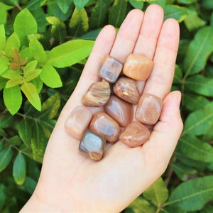 Peach Moonstone Tumbled Stones: Choose How Many Pieces (premium Quality ...