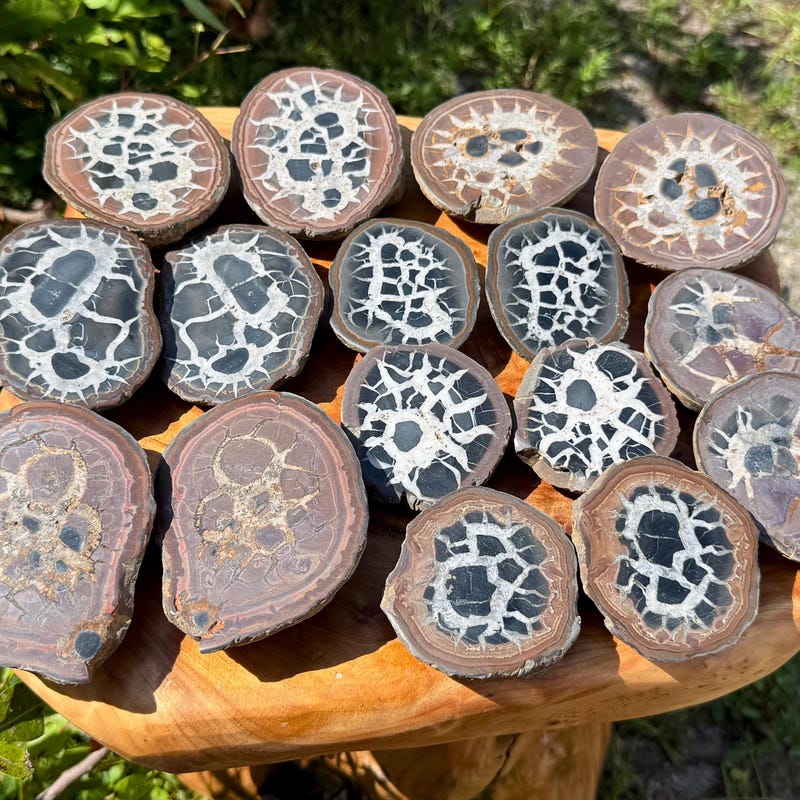 Septarian Nodule Stones - Etsy