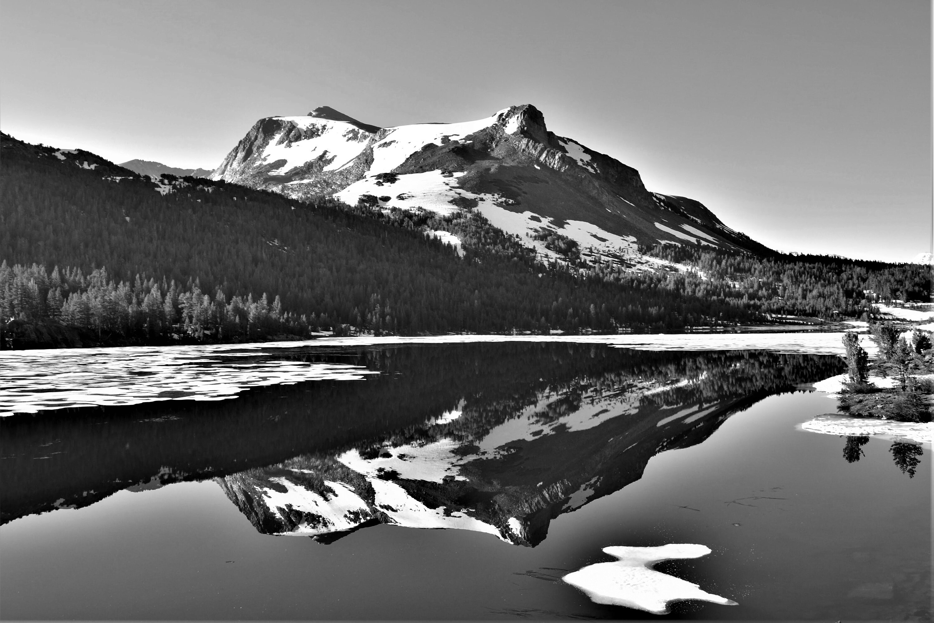 Black & White Photography, Prints, Nature, Beauty, Calm, Lakes ...