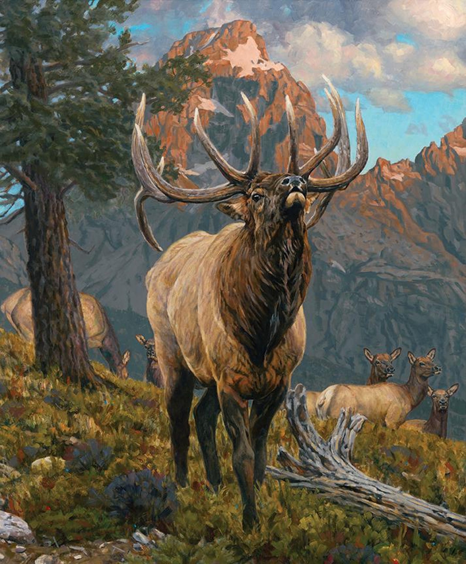 Wyatt Quilt Kit From Sew Big Quilting - Majestic Elk - Etsy