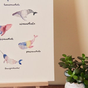 LGBT Whales A4 Print - Etsy