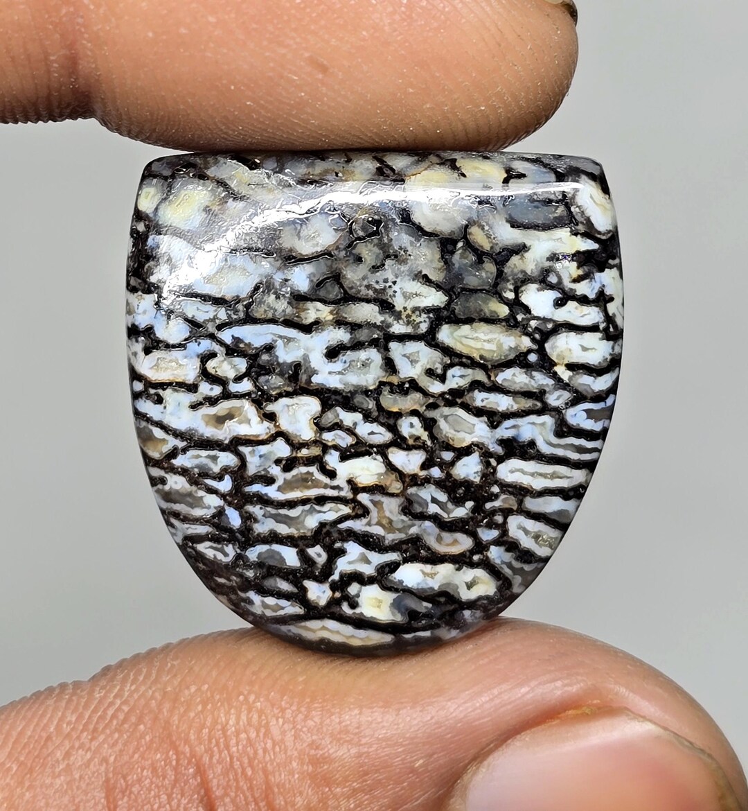39ct. Natural Dinosaur Bone Jasper Gemstone Designer Loose Dinosaur ...