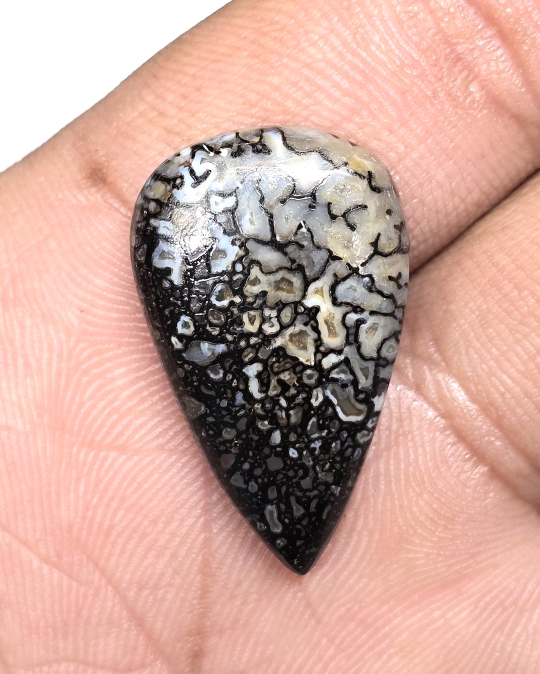 Rare Quality Natural Dinosaur Bone Cabochon - Smooth Polished Flat Back ...