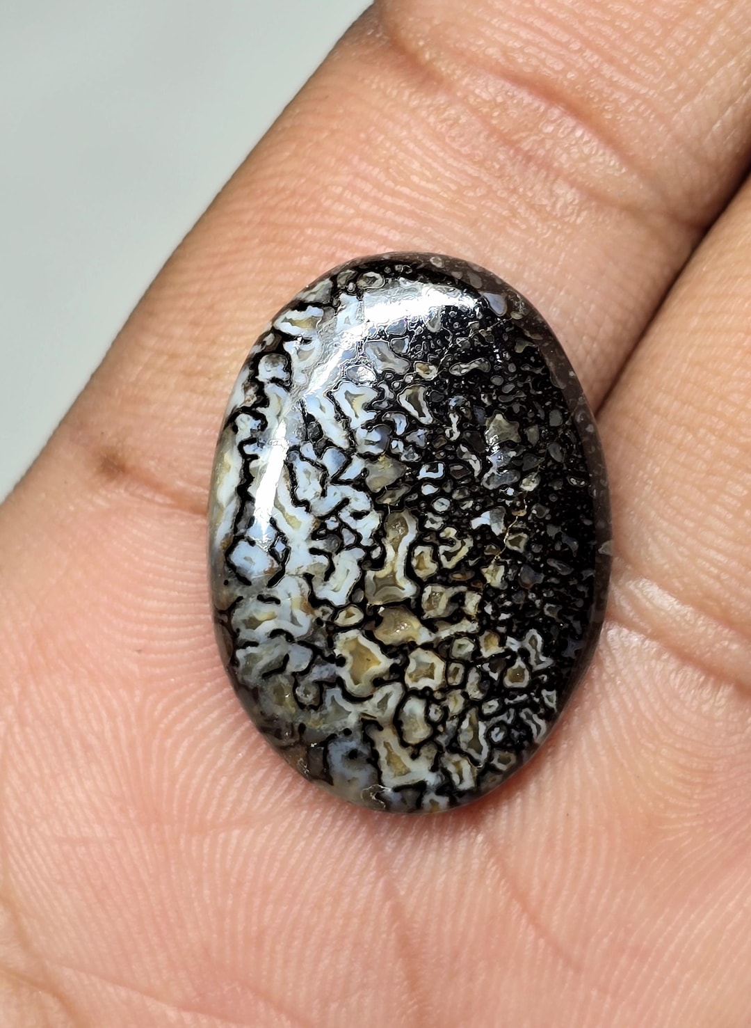 Rare Quality Natural Dinosaur Bone Cabochon Smooth Polished Flat Back ...