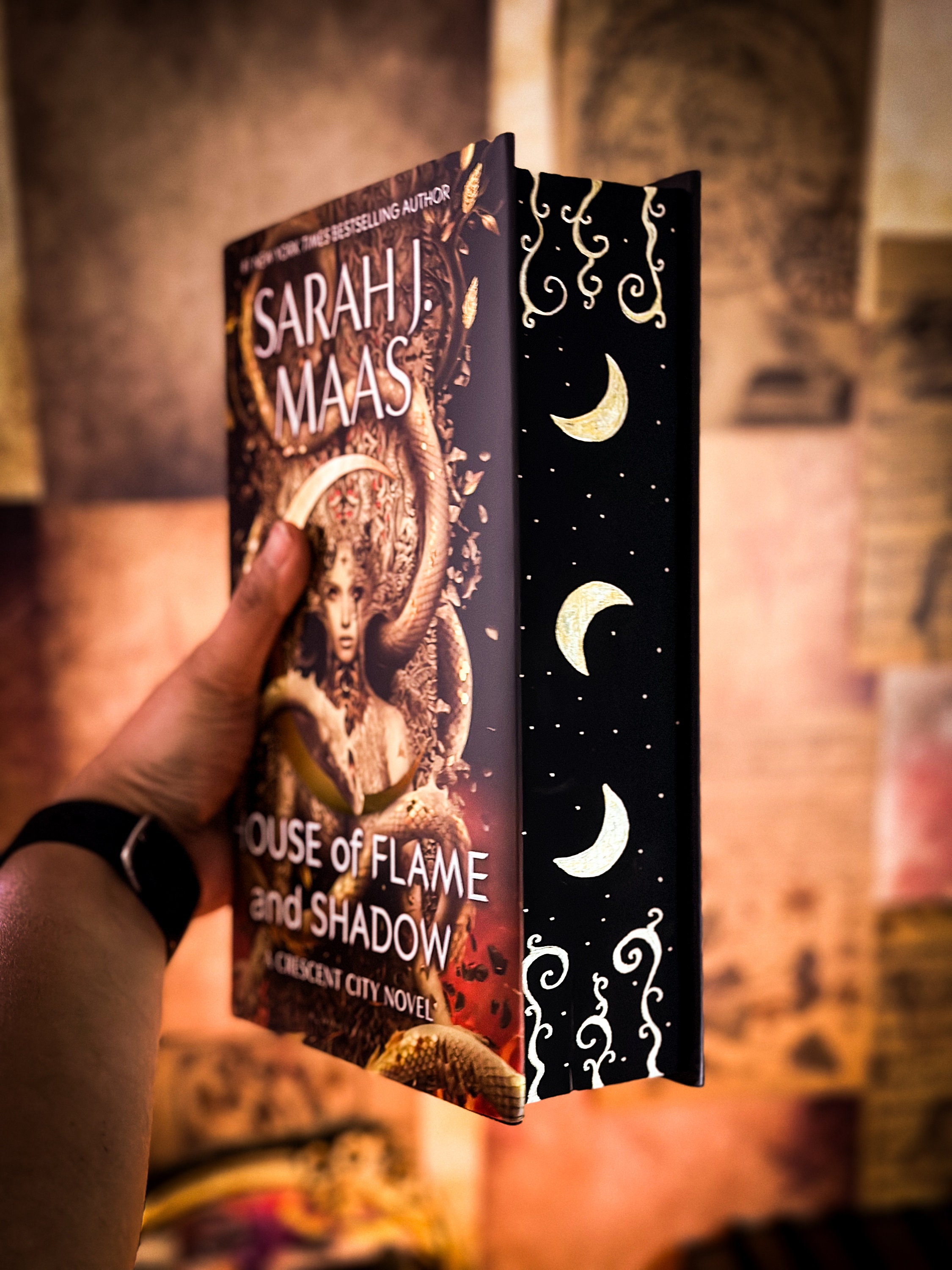 Hand-painted Crescent City Book Set - Sarah J Maas Special Edition - Etsy