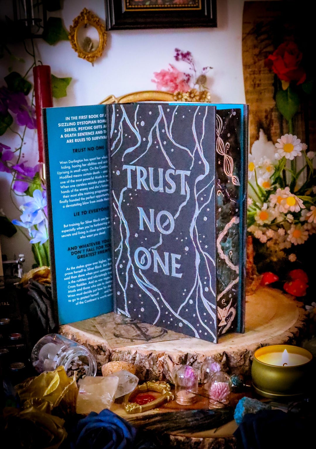 Silver Elite HAND PAINTED BOOK Edges (foil Edition) - Dani Francis ...