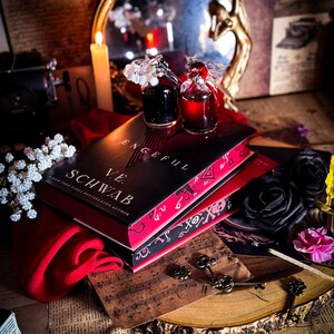 VISCOUS VENGEFUL villains Series HANDPAINTED Book Edges V E Schwab ...