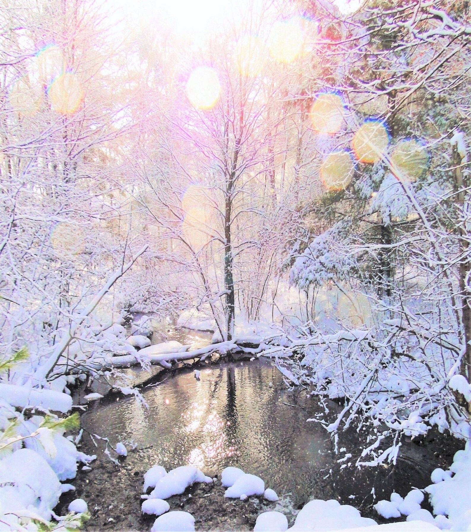 Photographic Wall Art, Snowy Winter Landscape With Sun Sparkling ...