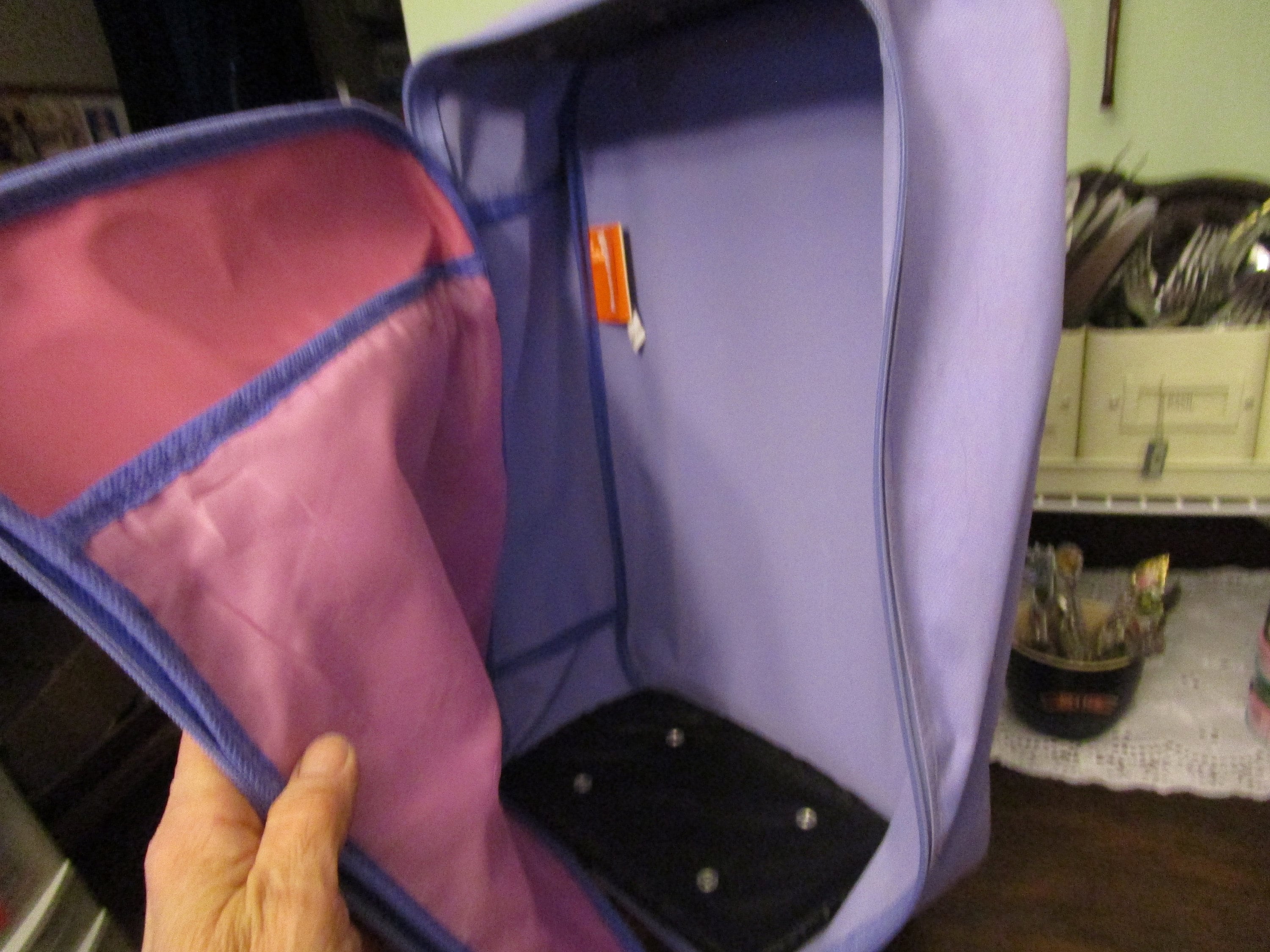 RARE 1990 Dora Playground Friends Suitcase on Wheels Pull up Down ...