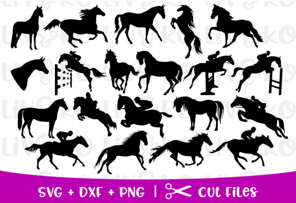 Horse Svg, Equestrian SVG, Horse Cut File, Horse Riding Svg, Cricut ...
