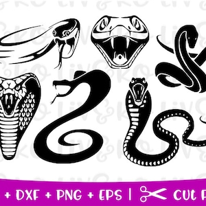 Snake Bundle Svg, Snake Svg, Snake Cut File, Snake Bundle Cut File ...