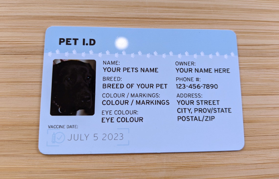 Custom Pet ID Card - PVC Pet ID - Two Types Available - Etsy