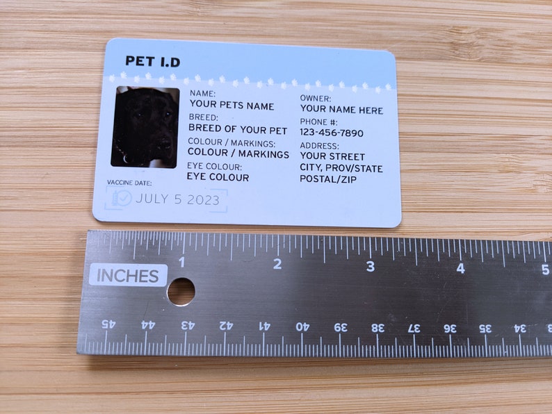 Custom Pet ID Card - PVC Pet ID - Two Types Available - Etsy
