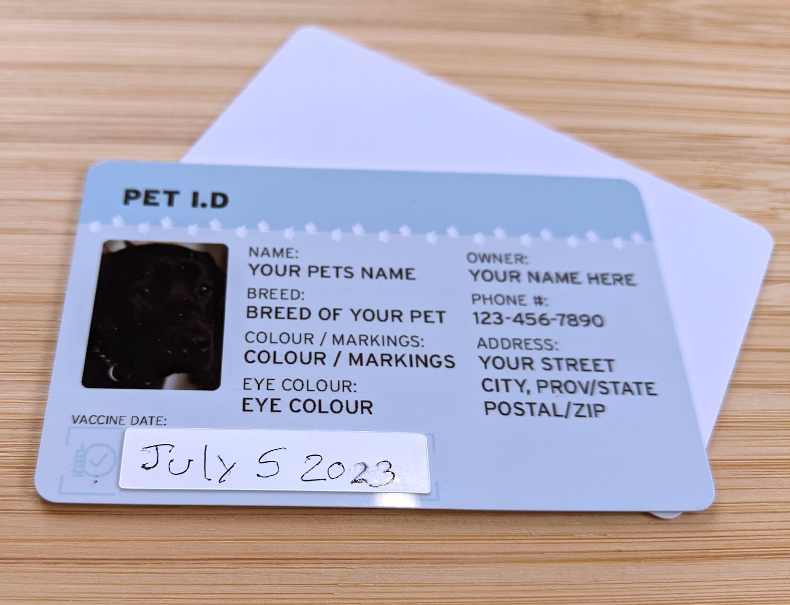 Custom Pet ID Card PVC Pet ID Two Types Available - Etsy