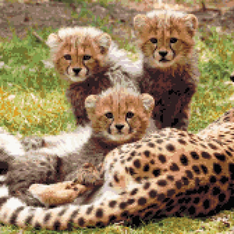 Cheetah Cross - Etsy