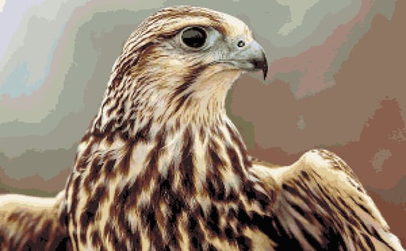 Majestic Falcon Cross Stitch Pattern: Closeup Saker Portrait - Etsy