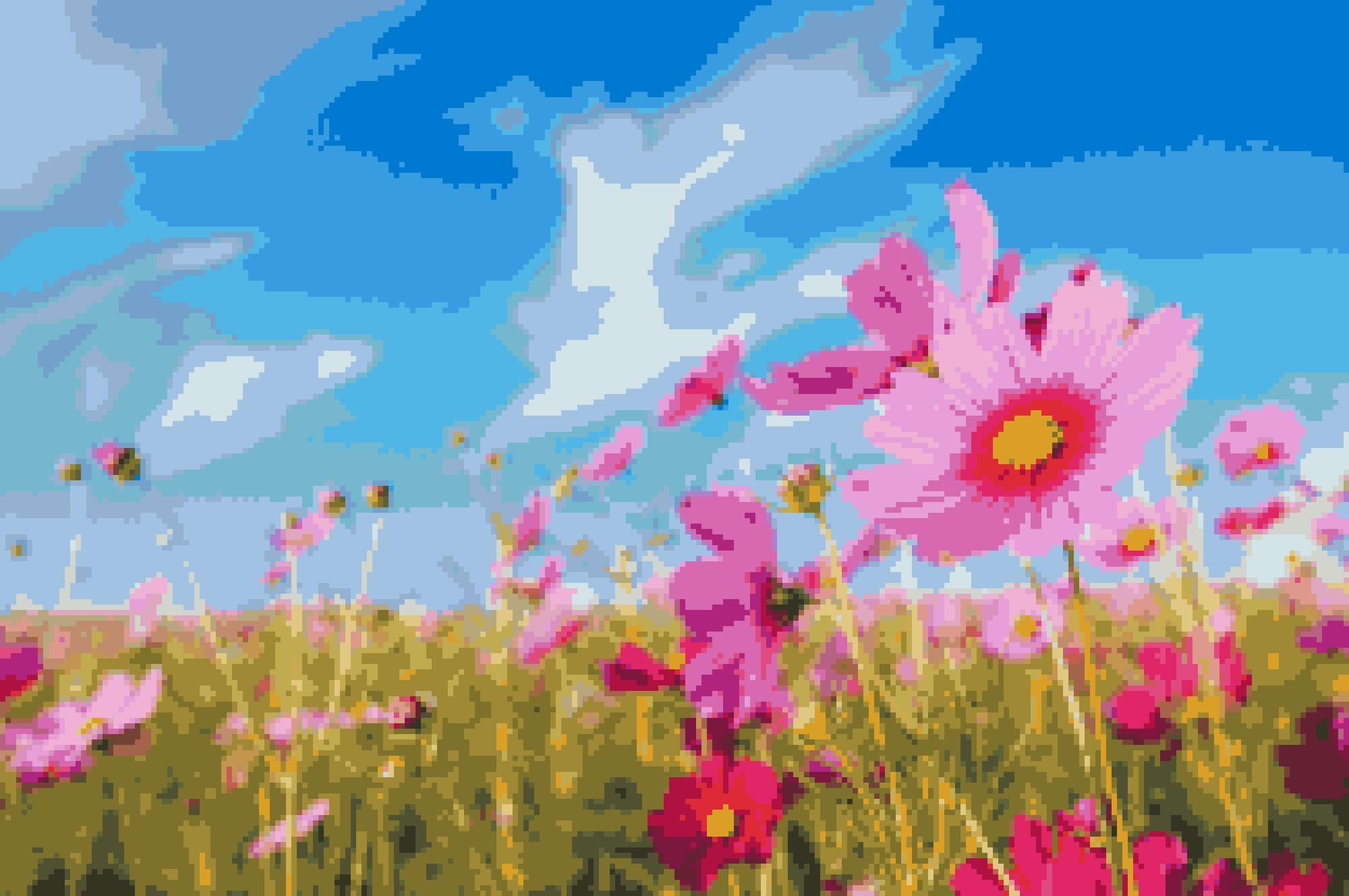 Flower Field Art