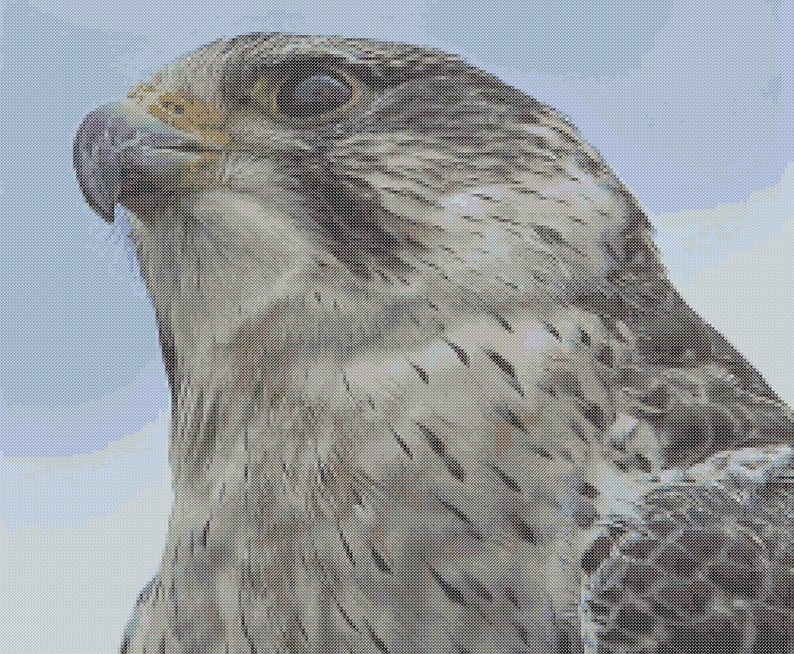 Peregrine Falcon Cross Stitch Pattern: Bird of Prey Closeup Pixel Art ...