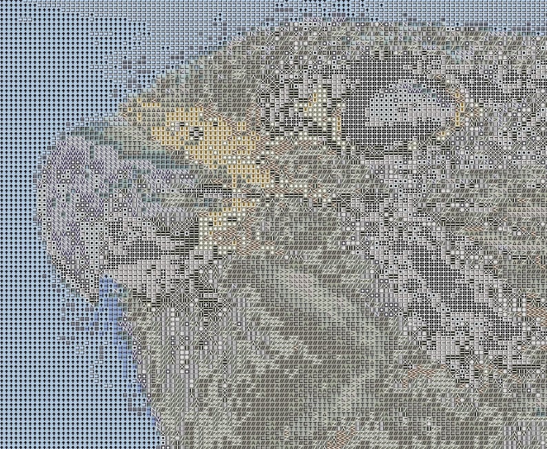 Peregrine Falcon Cross Stitch Pattern: Bird of Prey Closeup Pixel Art ...