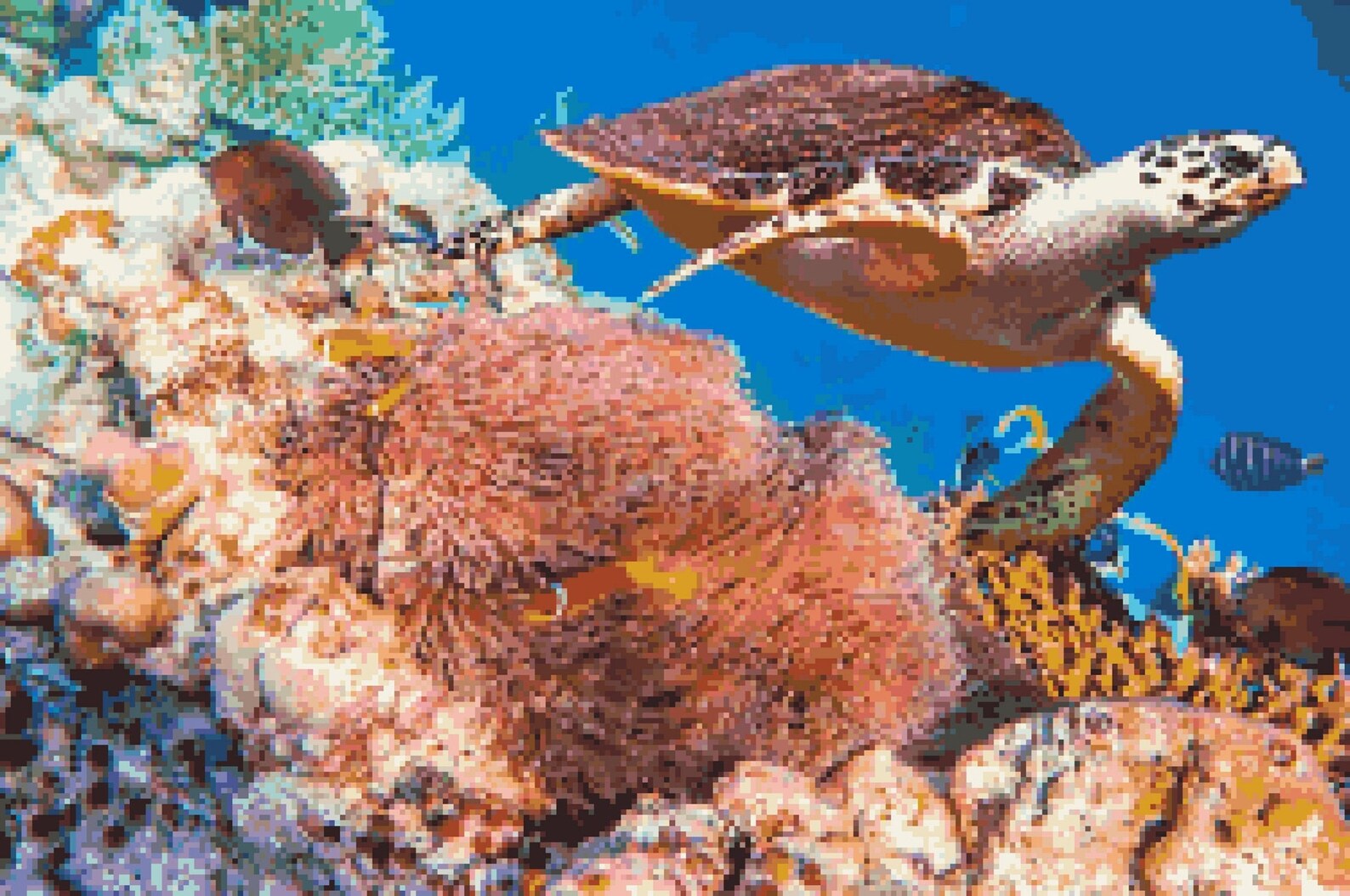 Under the Sea Cross Stitch Pattern: Hawksbill Turtle Pixel Art - Etsy