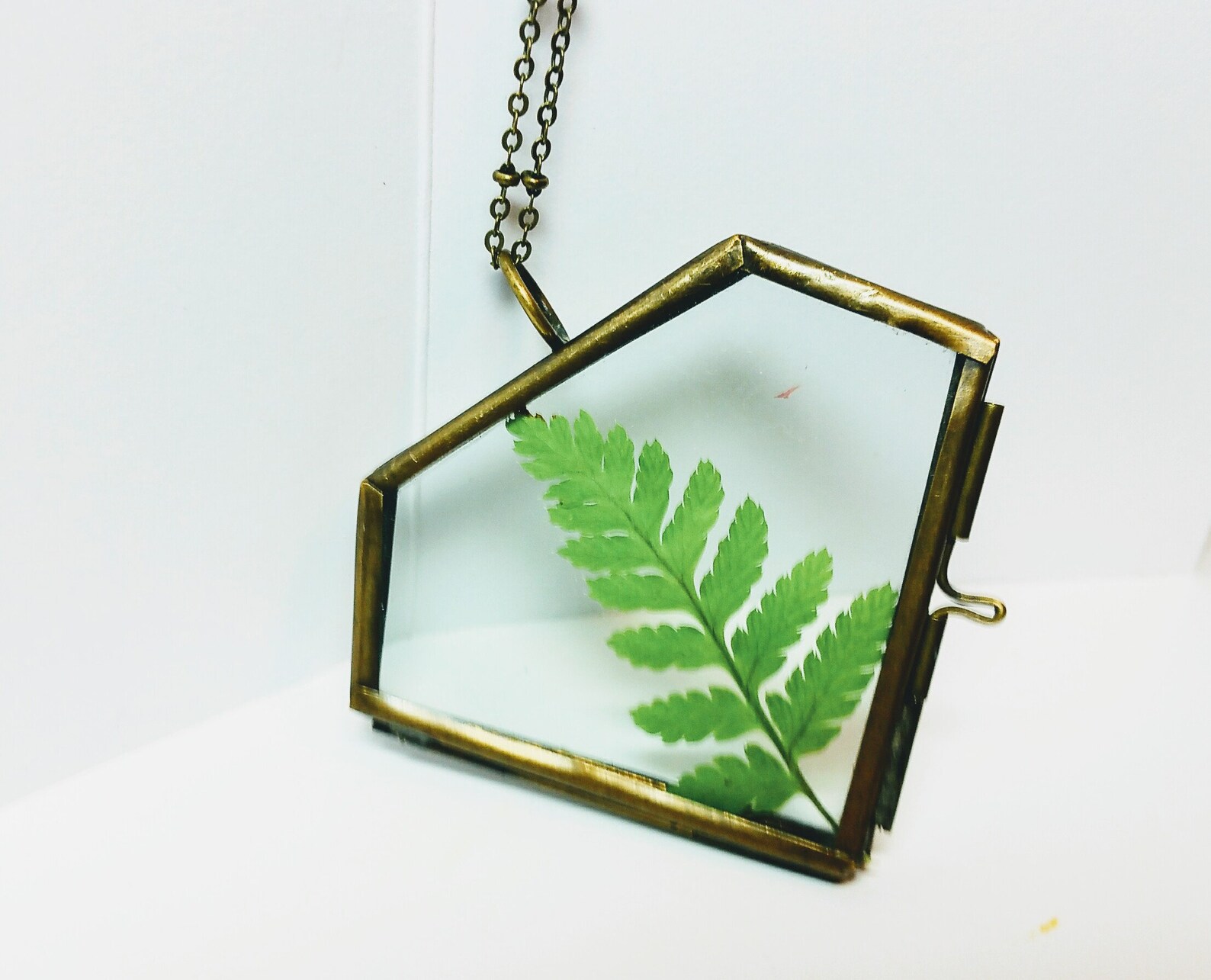 Fern Necklace Purple Flower Pressed Fern Locket Necklace - Etsy