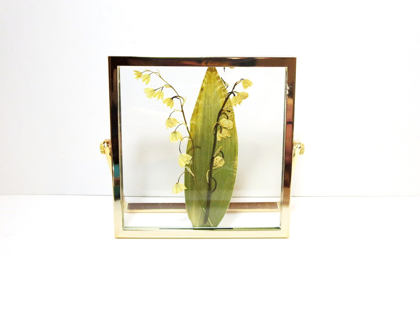 Pressed Flower Display Real Dried Flowers Double Glass Frame - Etsy