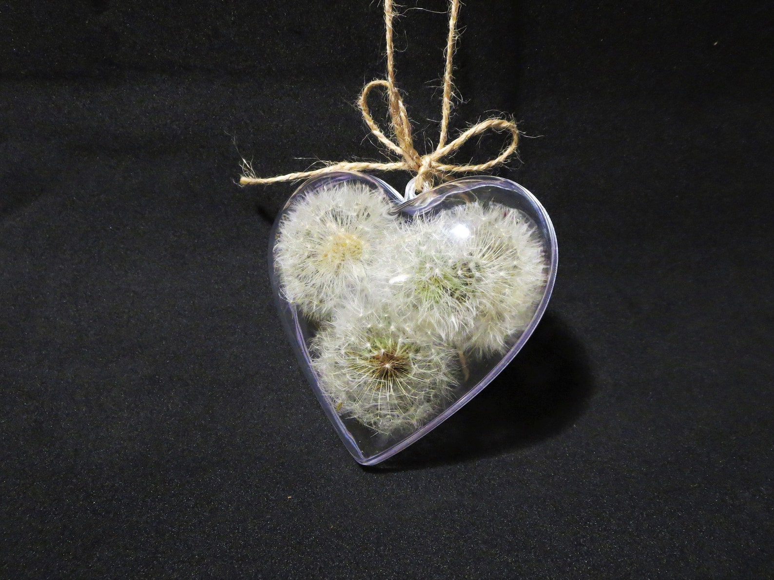 Real Dandelions in Jar Dandelions Seeds Heart Shape Decor - Etsy
