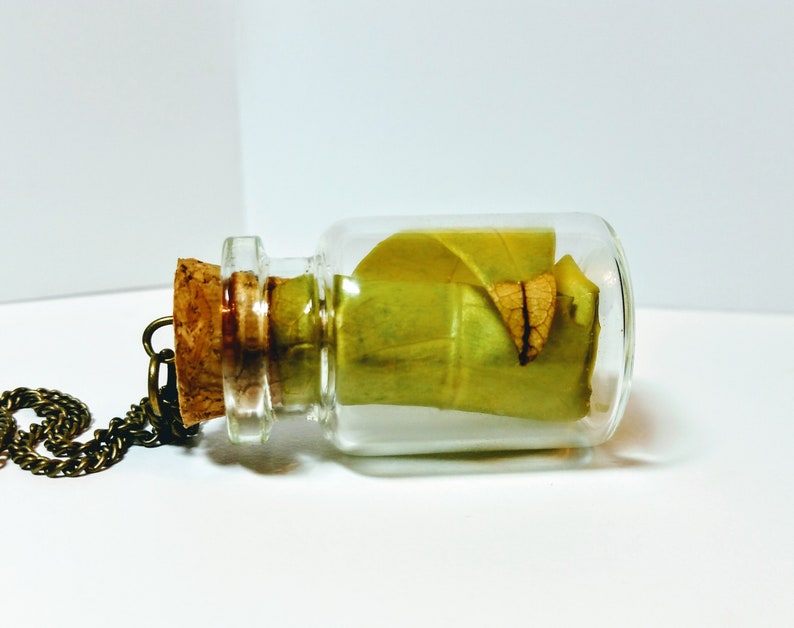 Fern Necklace Purple Flower Pressed Fern Locket Necklace - Etsy