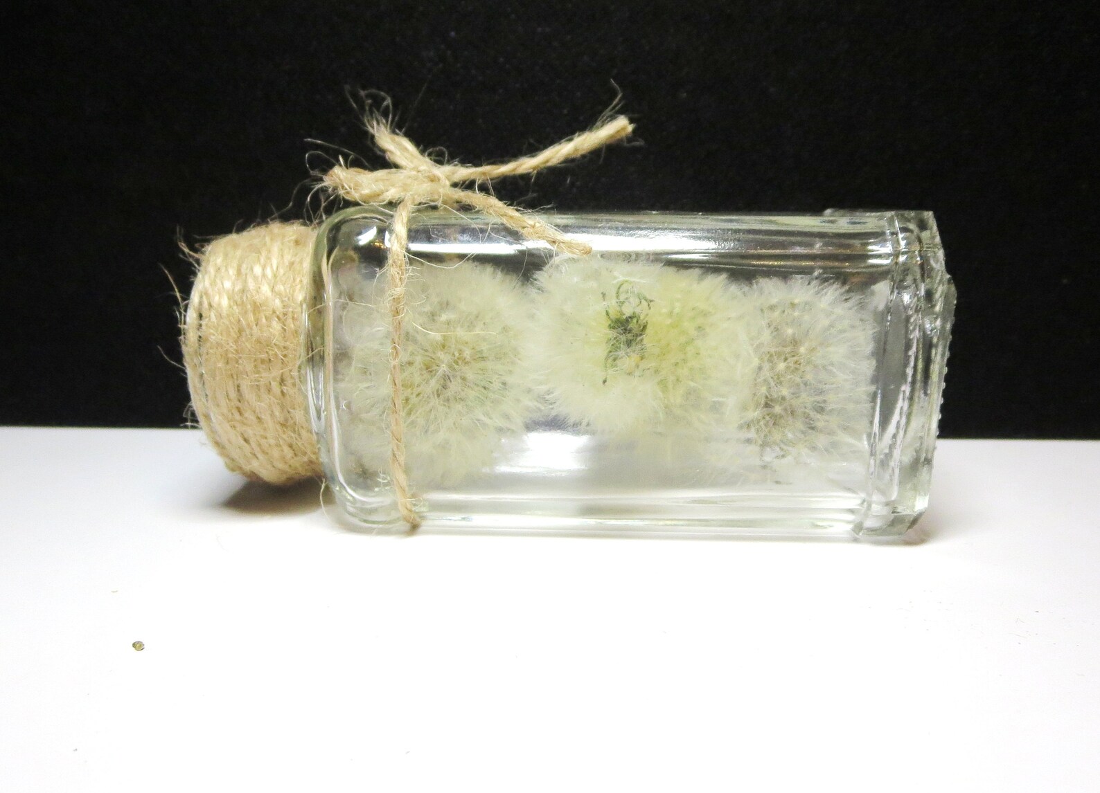 Real Dandelions in Jar Dandelions Seeds Heart Shape Decor | Etsy