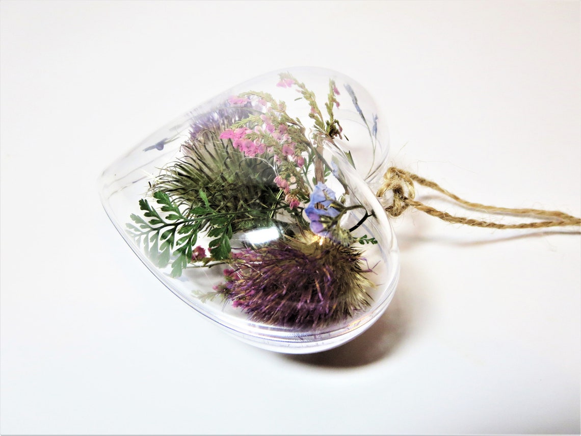 Thistle Décor Real Thistle Terrarium Scottish Thistle the - Etsy
